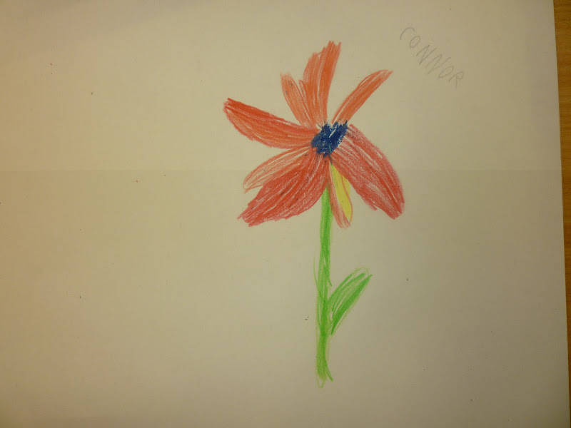 Fieldhead Carr University for children: Artists Unite Observational ...