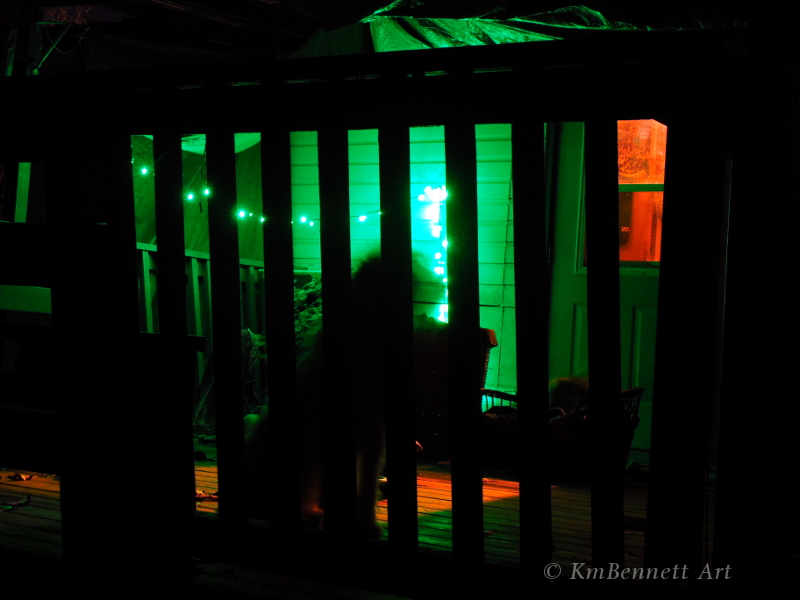 From my Camera: In the Dark