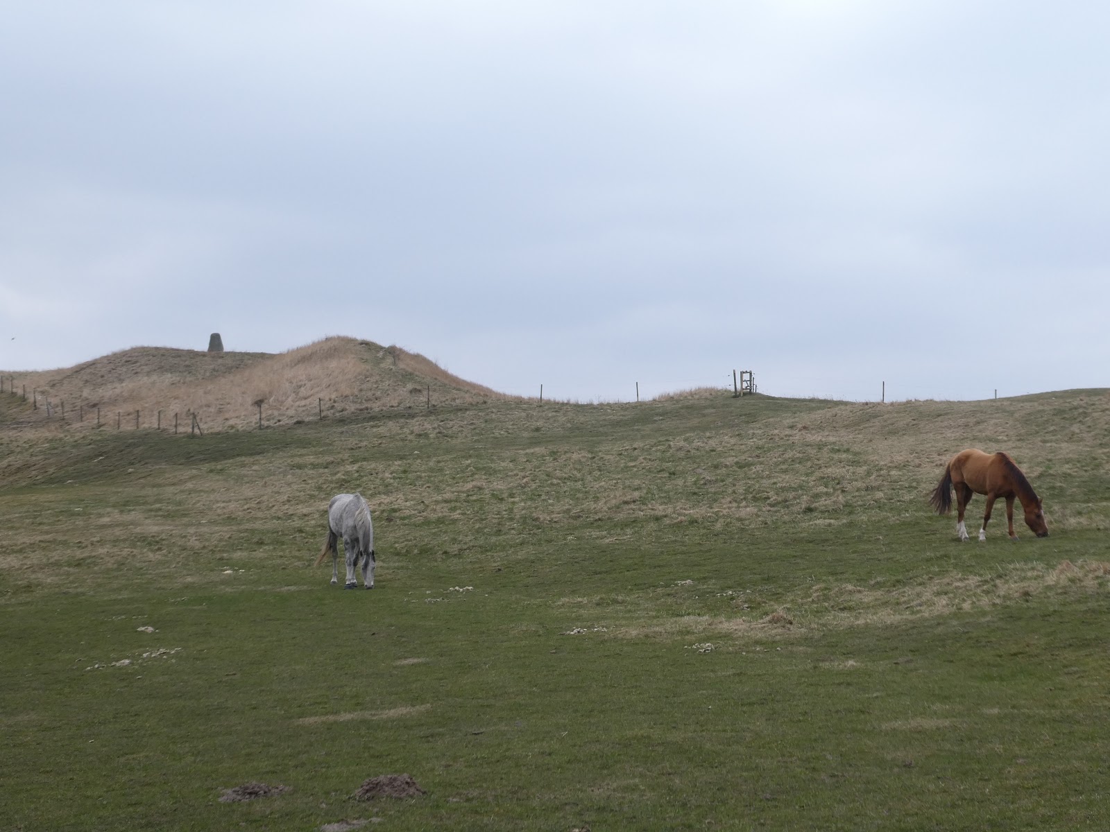 Skånska Resor: Västra Karaby backar