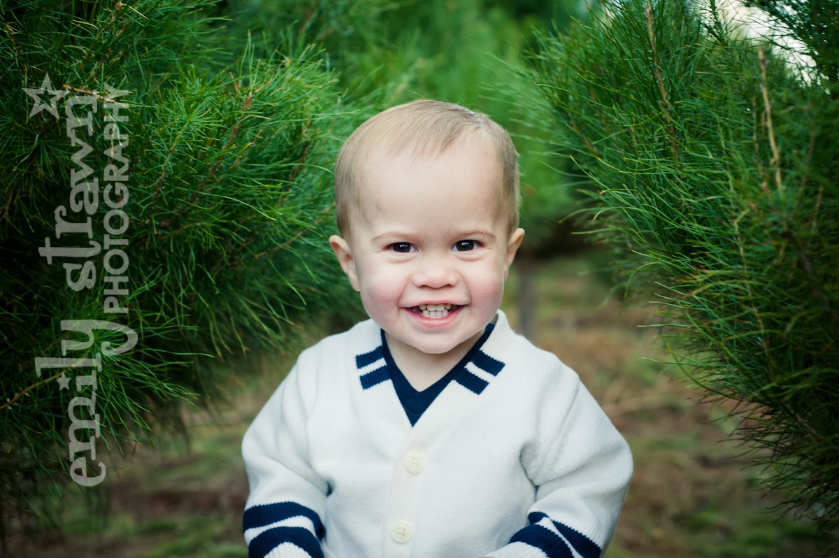 Emily Strawn Photography