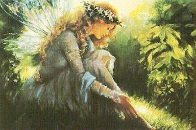 Mi Bosque Mágico: El hada de los bosque