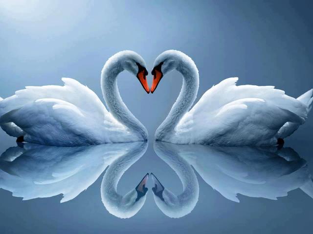 Imagens Lindas Fotos Belíssimas - Imagens Lindas