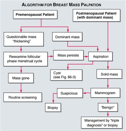sikkahoder: Evaluation and Therapy of Breast Masses in Men and Women