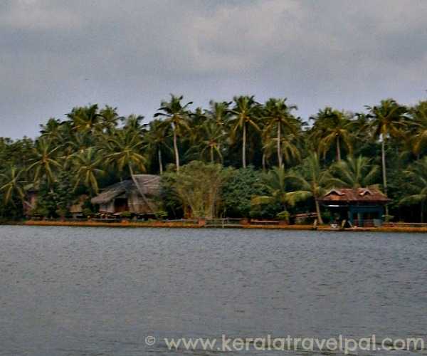 Kerala Travel Pal Picture Blog: Chettuva backwaters