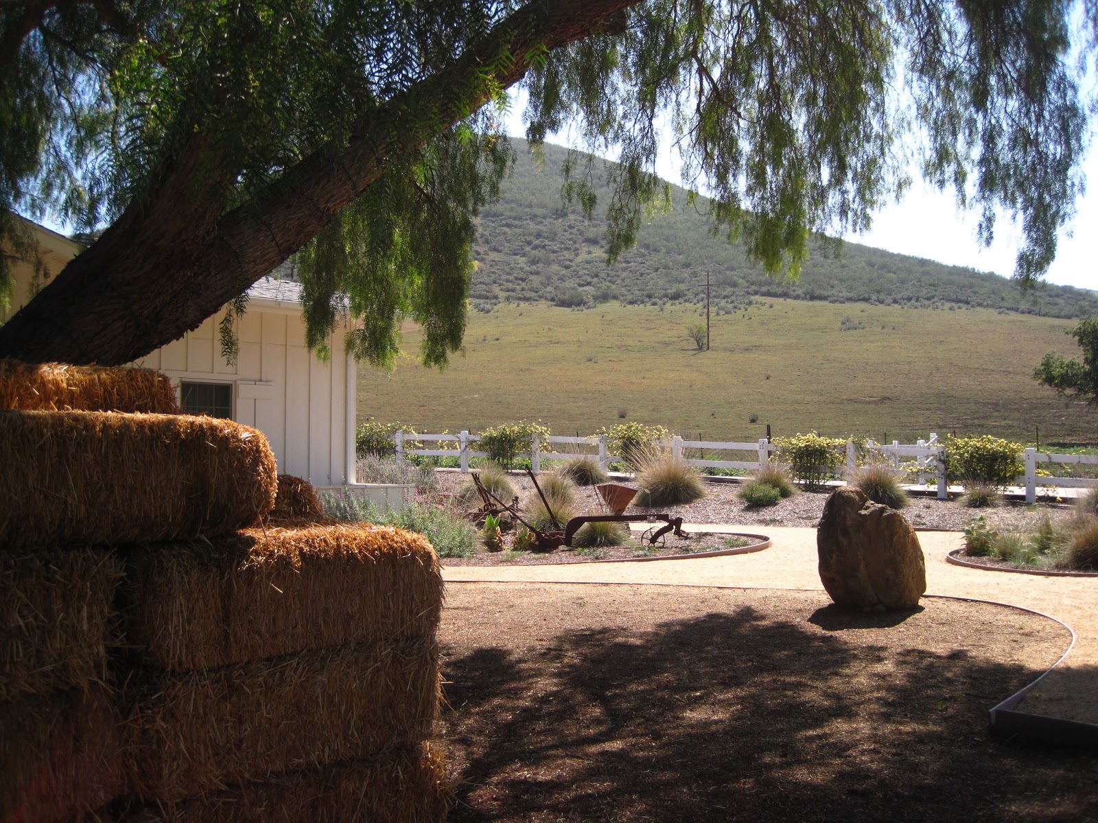 Pastel Society of the Gold Coast: Joel McCrea Ranch Pastel Paint Out!