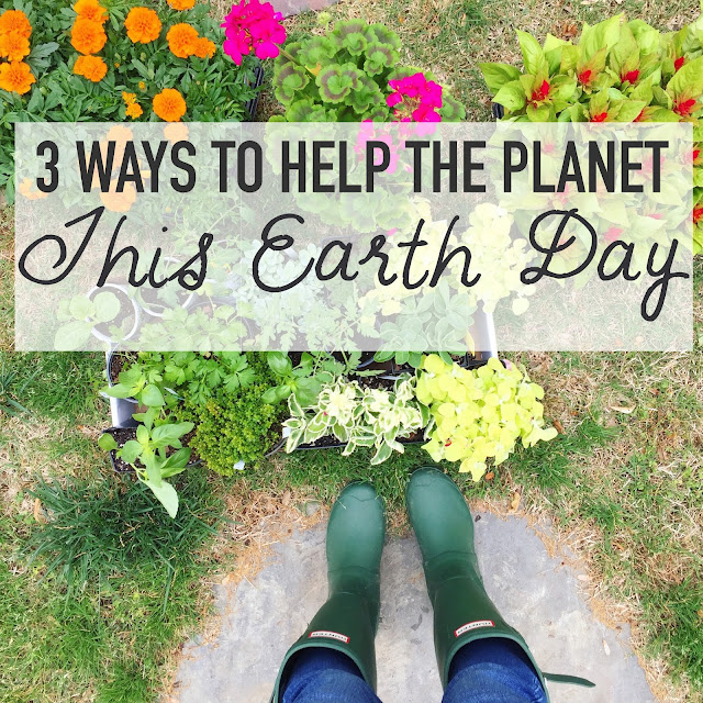 3 Ways to Help the Planet this Earth Day - Klein dot Co