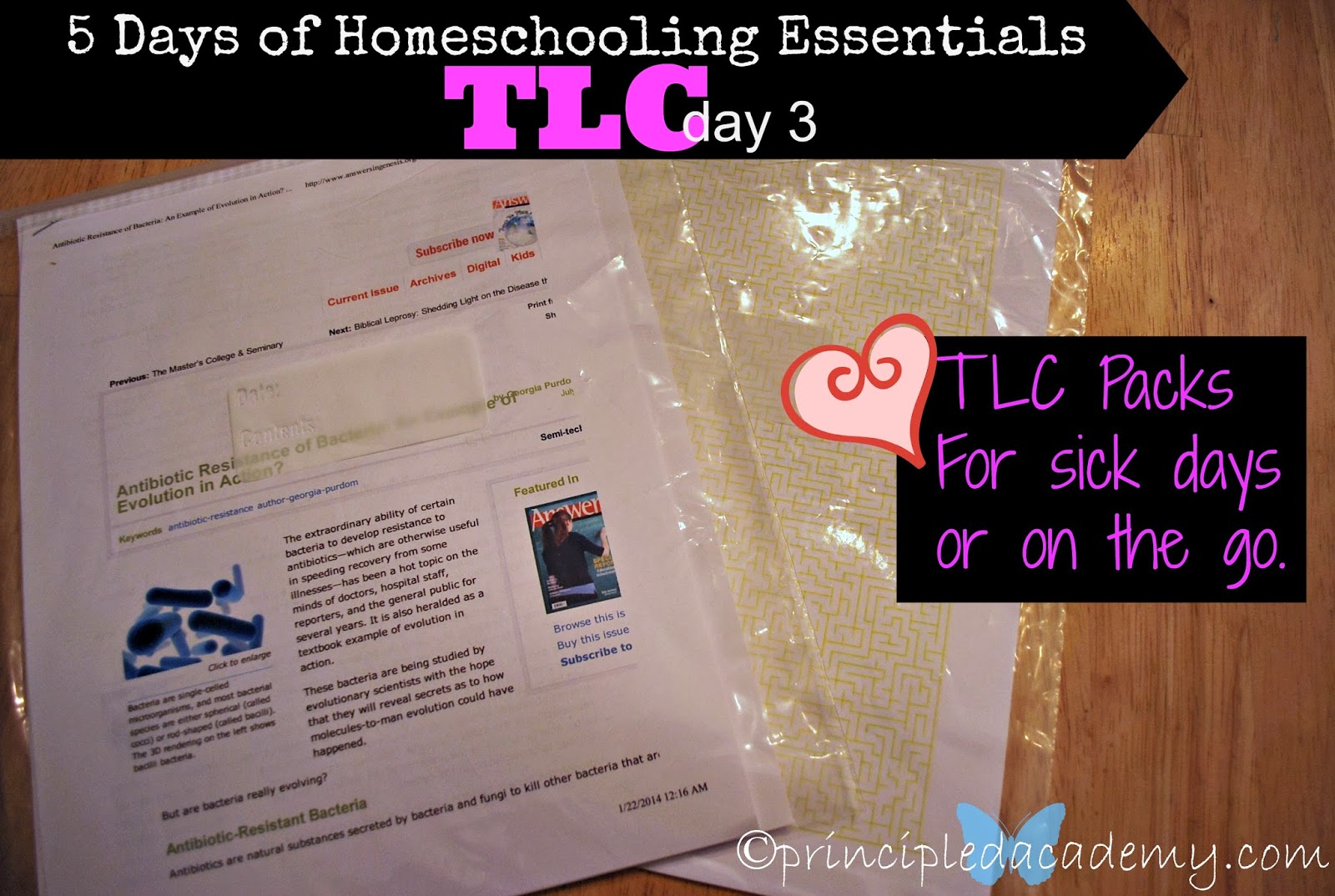 Principle Approach, Bible Principles: Essentials for Homeschooling- TLC Packs