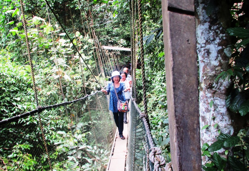 KINABALU: CANOPY WALK CHALLENGE - PORING HOT SPRING