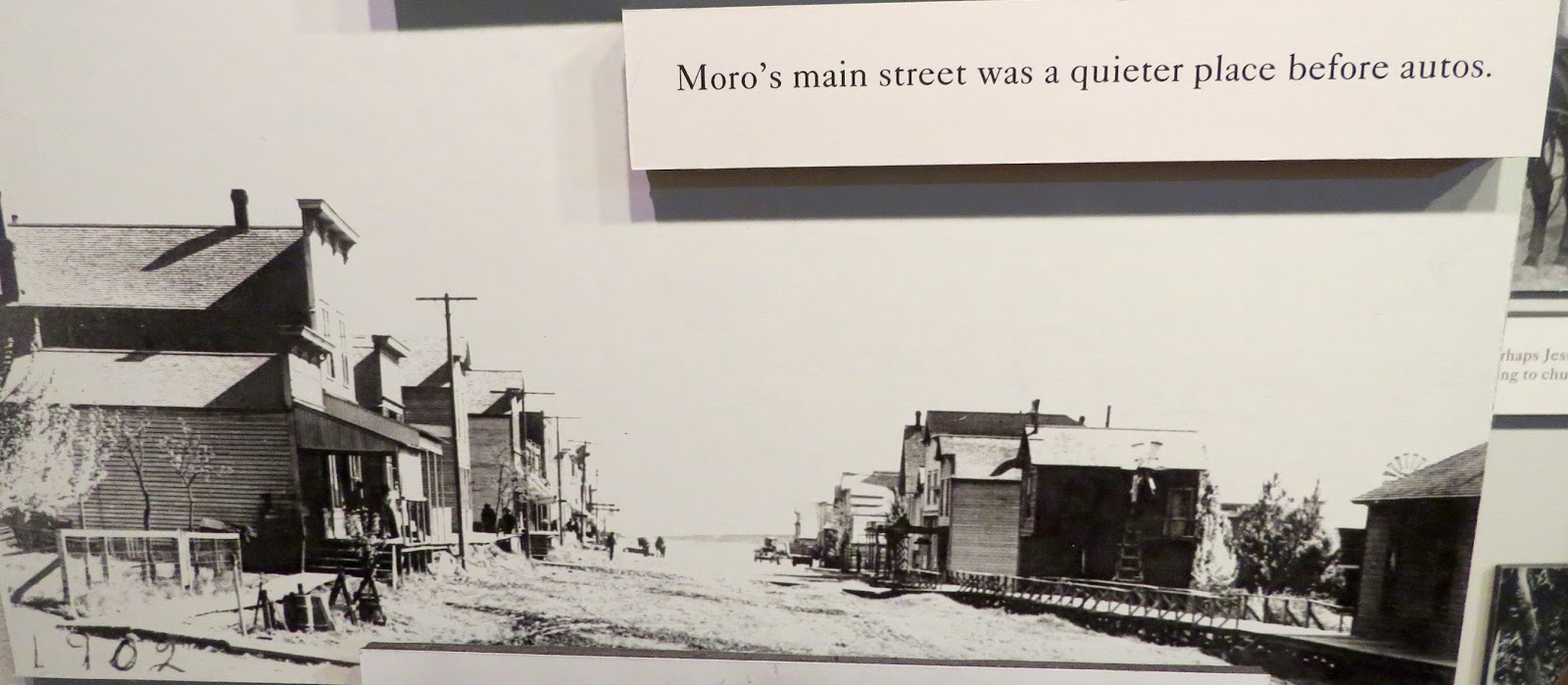 Where's Liz? 2016: Moro, Sherman County, Oregon