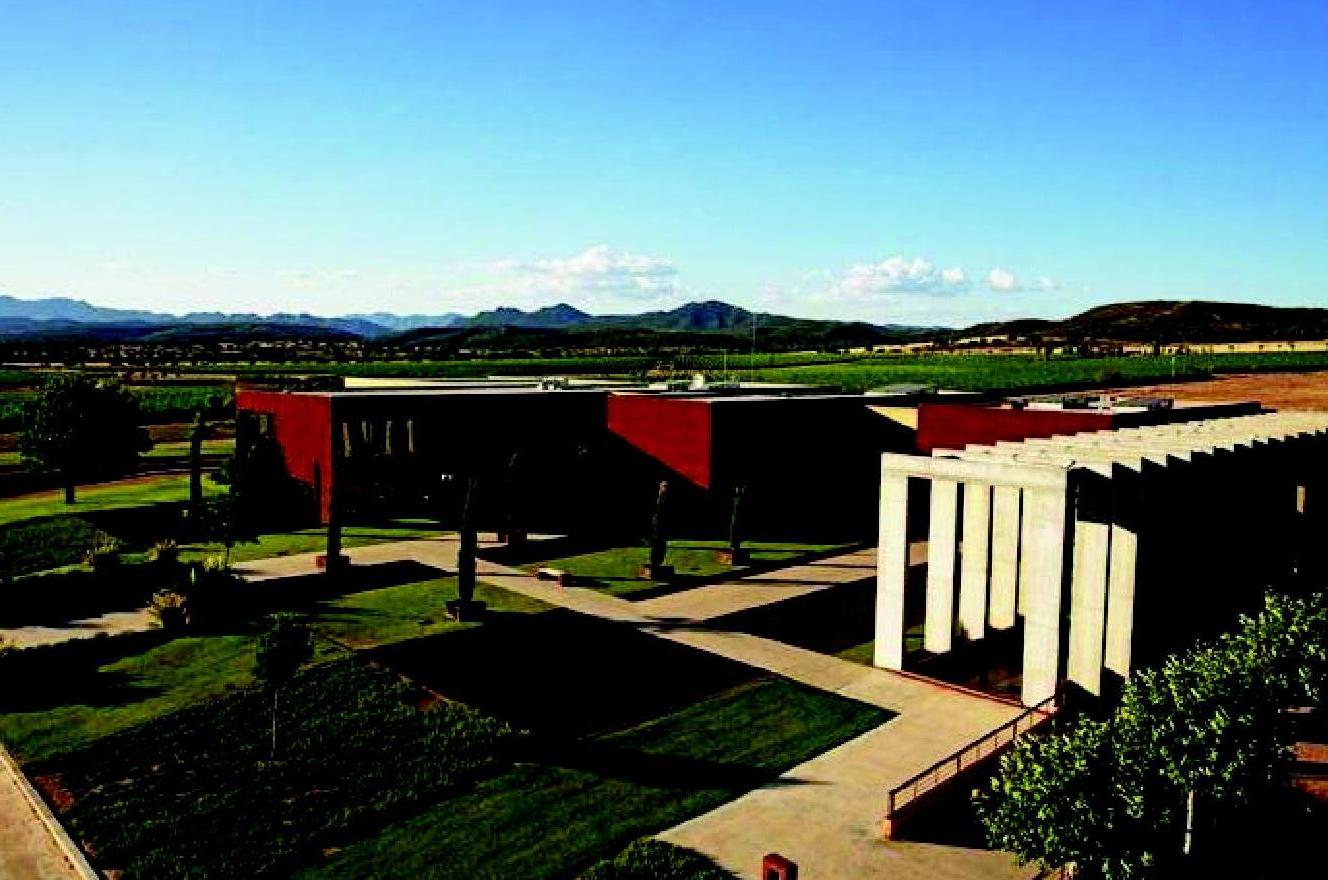 Rutas Enológicas: BODEGAS CARABAL