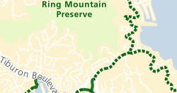 Walking San Francisco Bay: Trestle Glen - Dec. 18, 2012