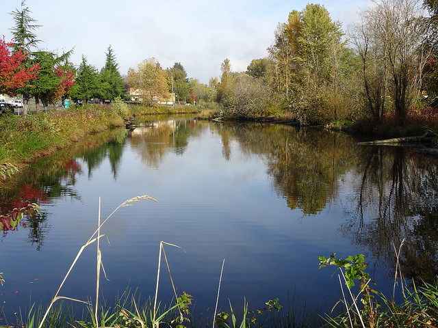 MEC&F Expert Engineers : La Mexicana, a Washington tortilla maker, pays ...