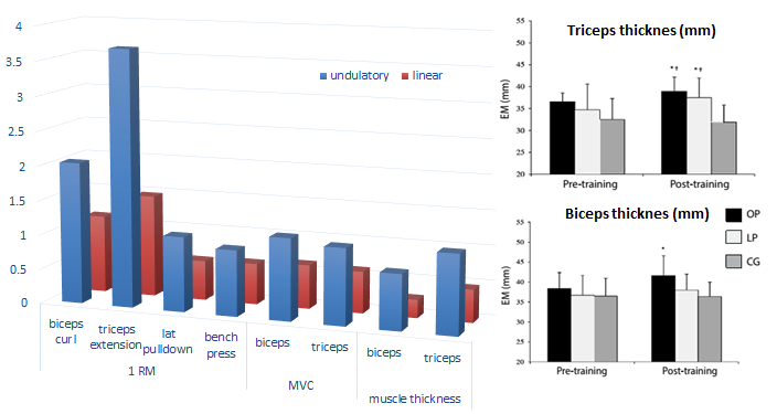Periodization Techniques Revisited: Improved Strength & Size Gains W ...