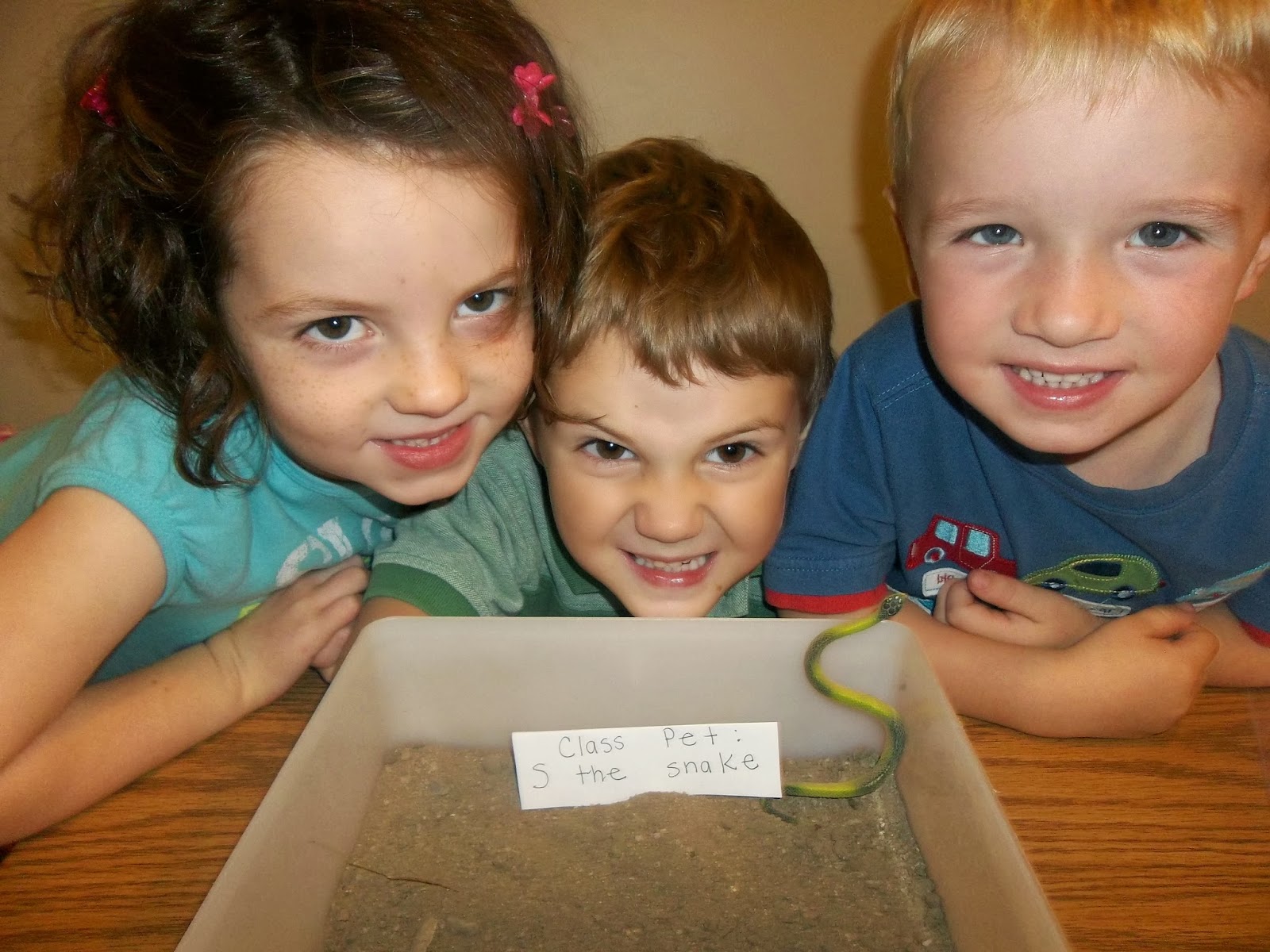 Amazing Action Alphabet: S Day...Class Pet