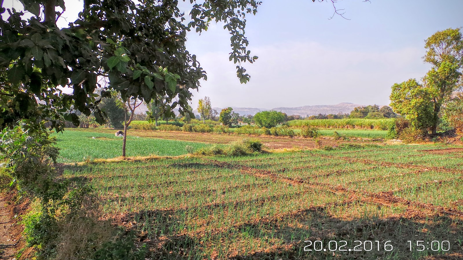 Ravi Karandeekar's Pune Real Estate Market News Blog: There is ...