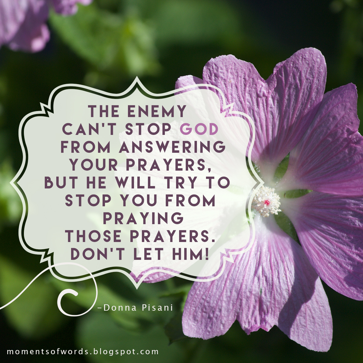 Keep praying! | Moments of words