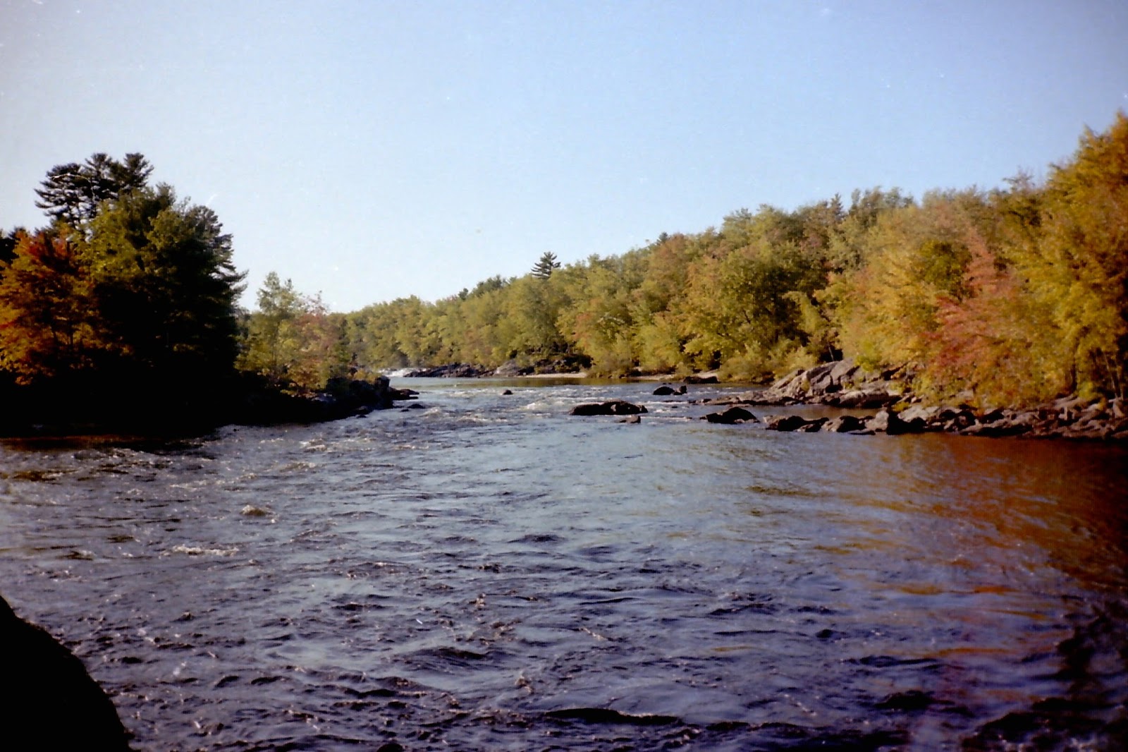 mangozeen: Dmitri Turin - Still On The Road