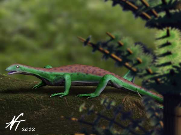 Paleoexhibit: Humble beginnings for the mighty diapsids: the ...