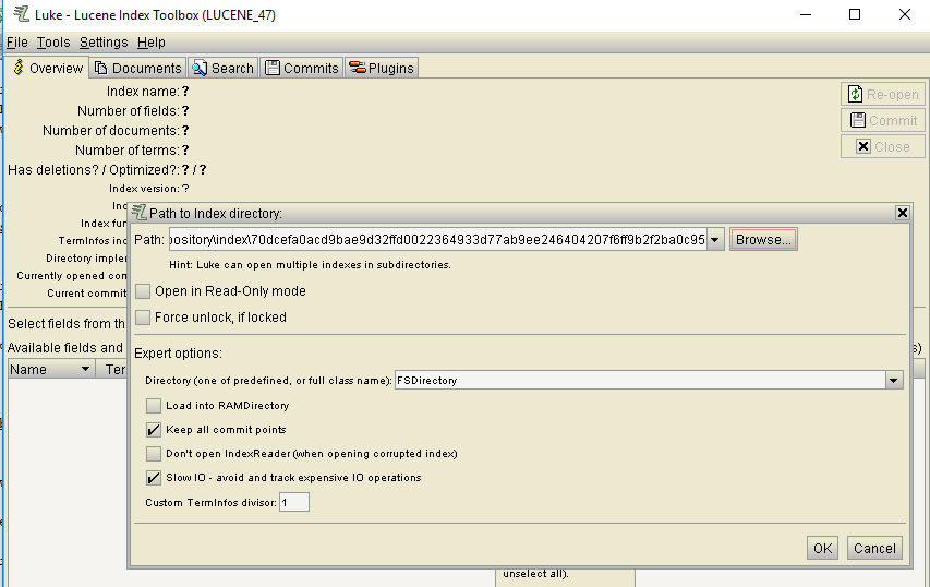 How to use Luke(Lucene Index Toolbox) to analyze Lucene Index in AEM(Adobe Experience manager)