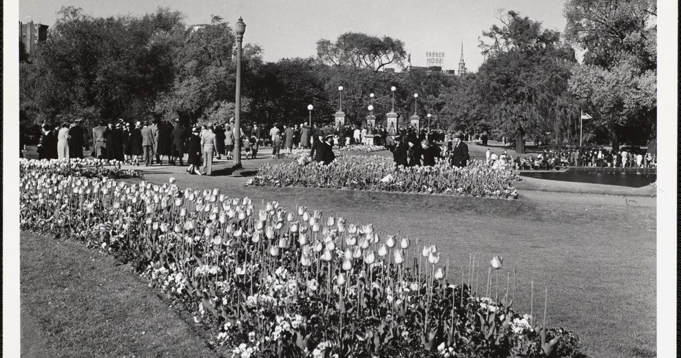 Irish Boston History & Heritage