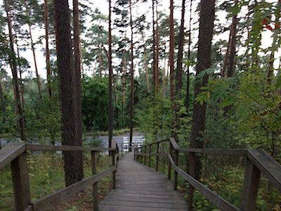 Piipahdus Pyynikillä