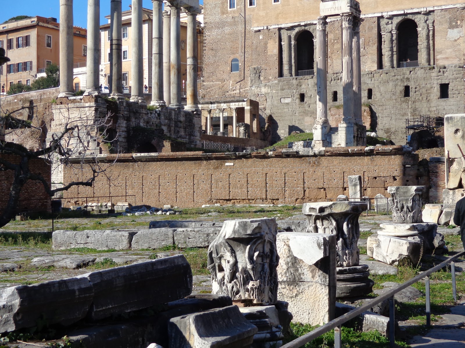 Semester in Italy: The Roman Forum and Colosseum