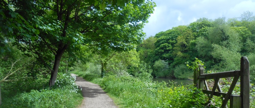 Walking The Peak: Sprotbrough Flash Nature Reserve