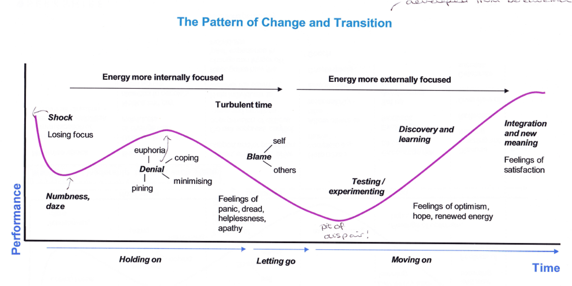 The Patient Patient: May 2012