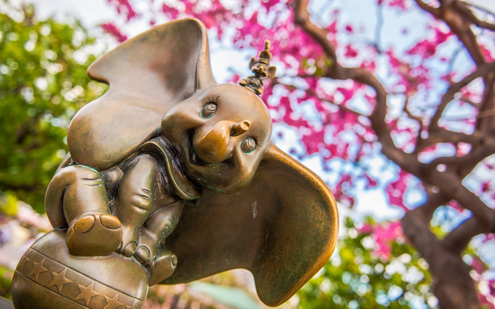 Figures with the Bloom