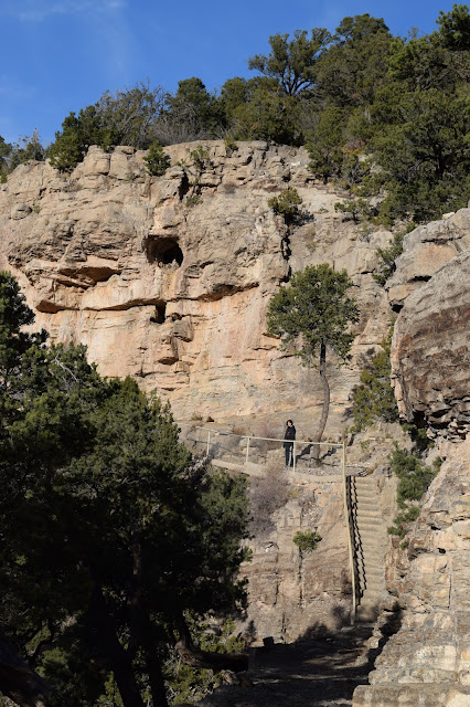 Diane and Stephen's Excellent Albuquerque Adventure: Thanksgiving Day ...