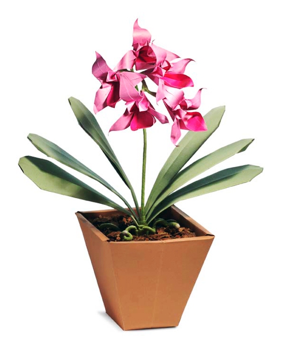 OrchidCraze: Wonderful Orchid Origami..
