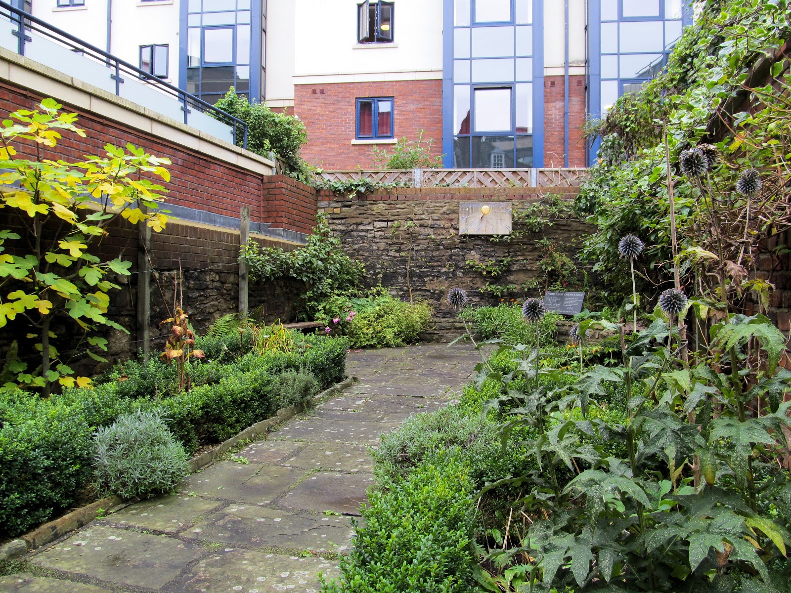 Primitive Physick: Popular and Plain "Primitive Physick"