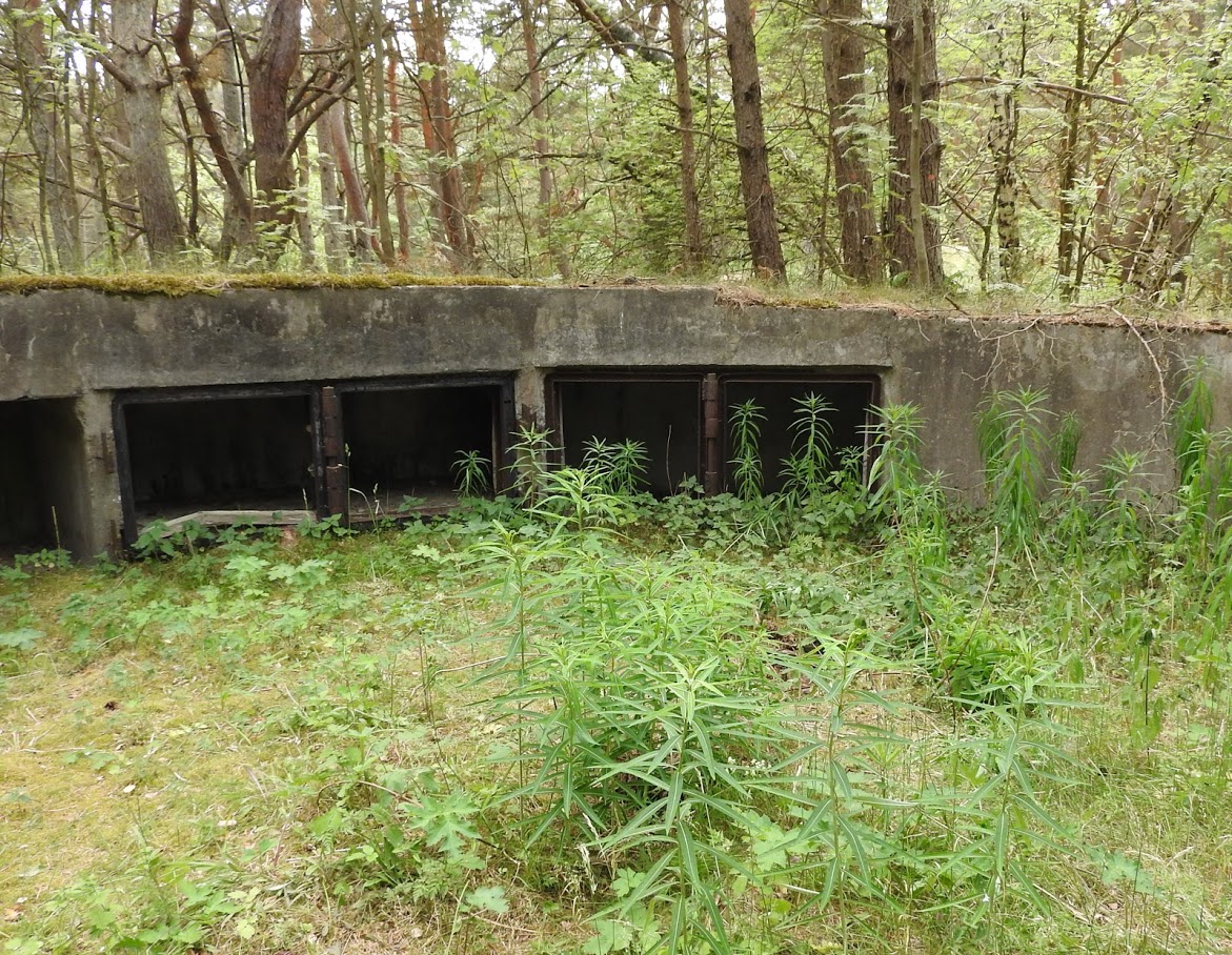 jabolowaballada: Pribałtika cz.8 - Estonia, Hiuma, bunkry półwyspu Tahkuna