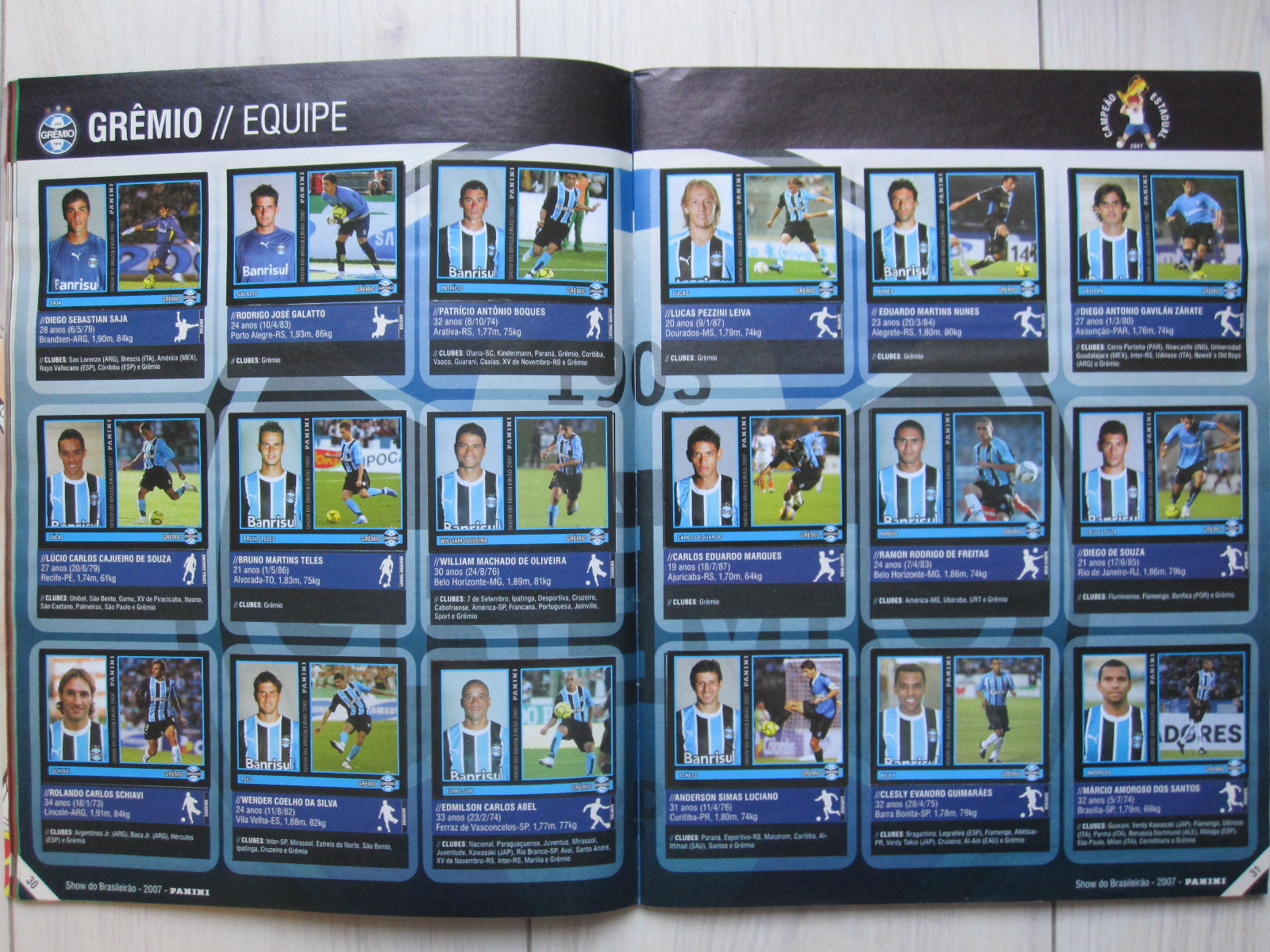 Only Good Stickers: Panini Show do Brasileirao 2007