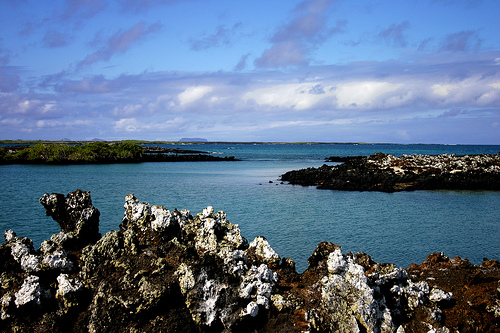 Ecoturismo México: Isla Tiburón Sonora