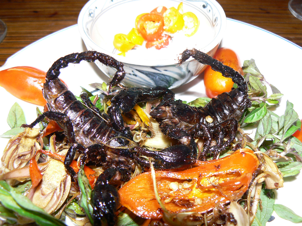 Sanaire: Comida exótica: cocodrilo, rata, toro, canguro y más…