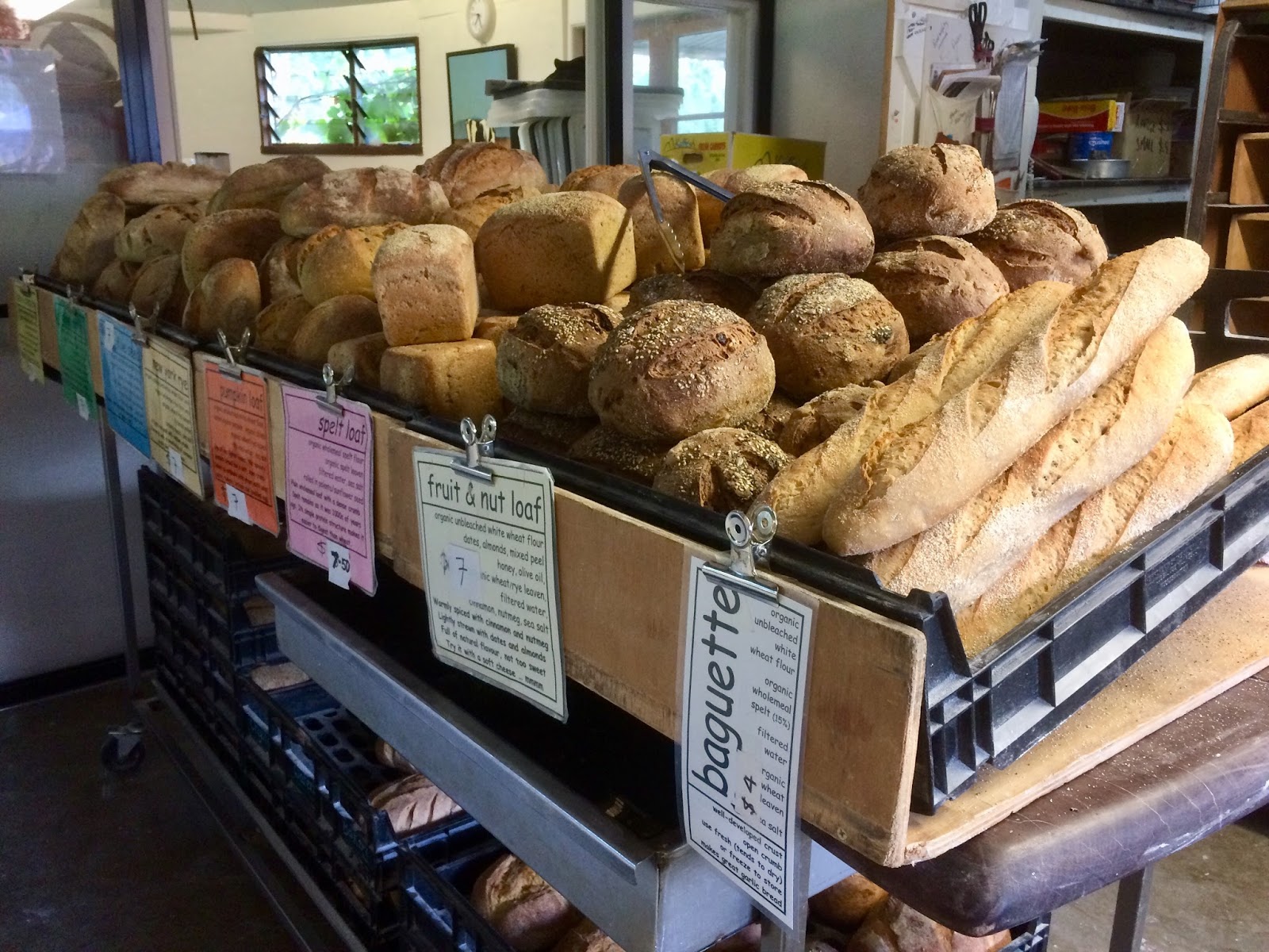 My Munchable Musings