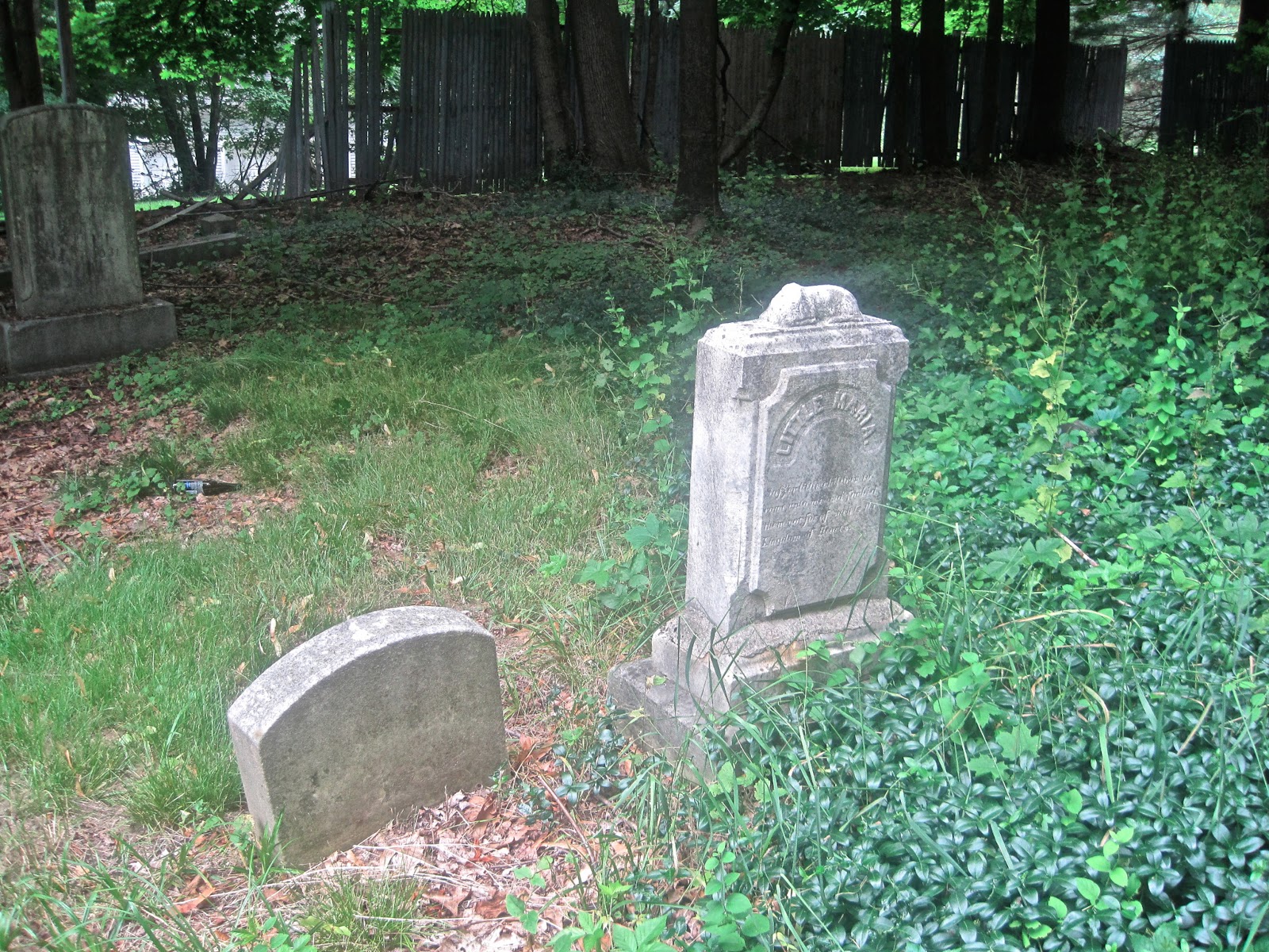 The Episcopal Cemetery Project: A Quaker Cemetery