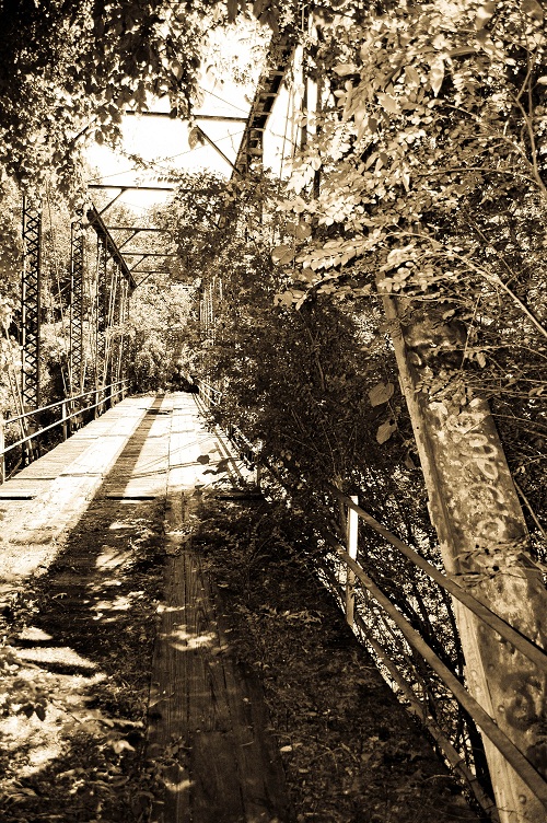 One State, Two Boys: Forks of Cypress & Ghost Bridge - Florence ...