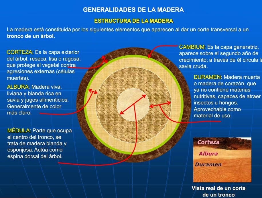 Material (Madera) ~ El Arte De Las Estructuras
