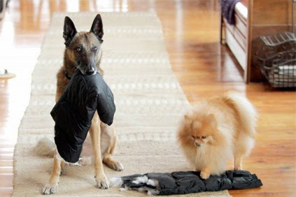 Its a Wonderful Movie - Your Guide to Family and Christmas Movies on TV ...