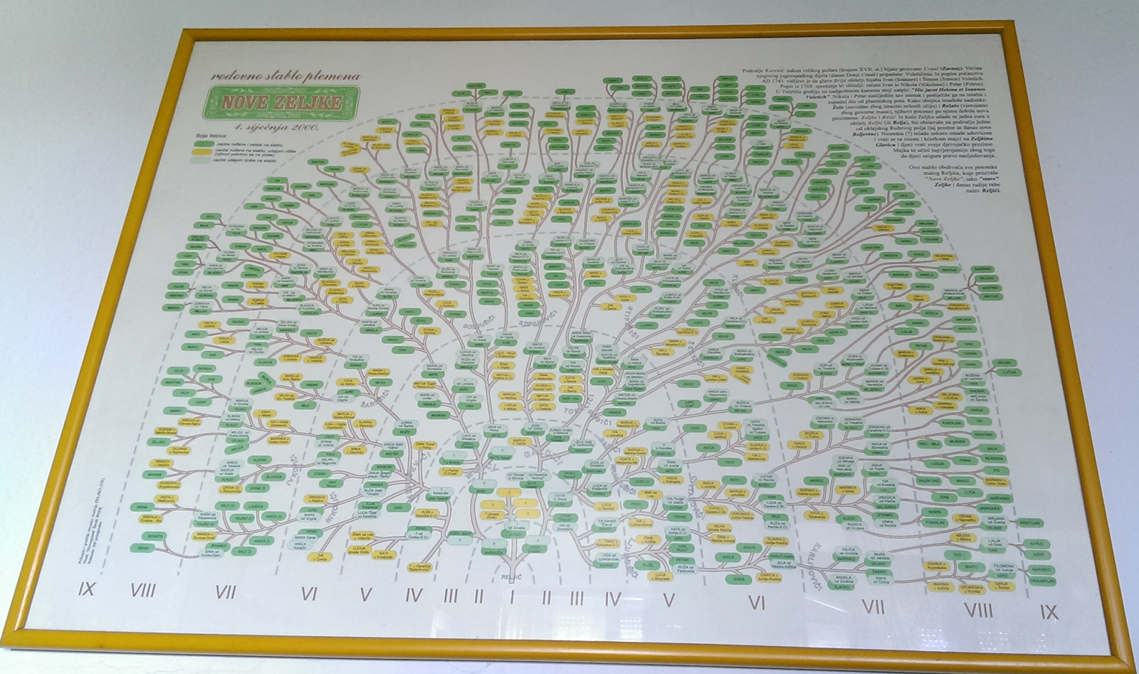 Crnač: Obiteljsko stablo-nove Zeljke