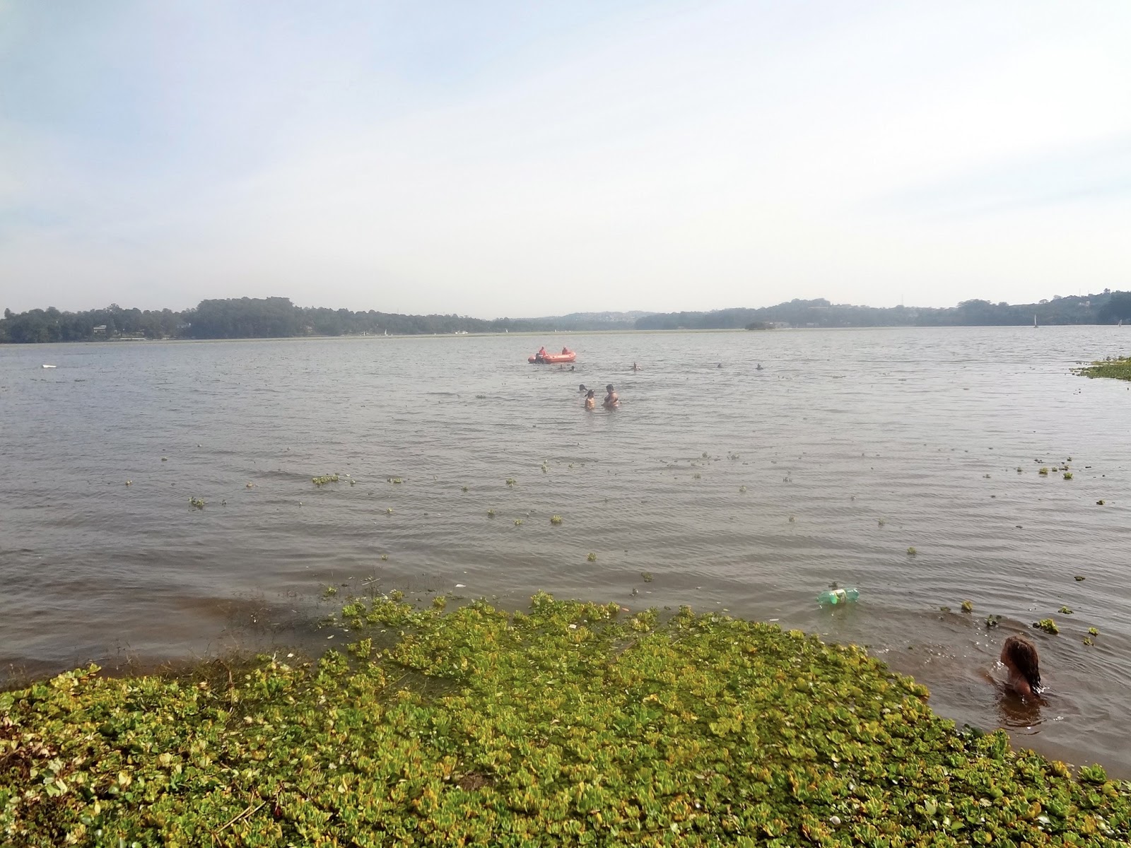 Parque Praia São Paulo - Praia do Sol em São Paulo ~ Áreas Verdes das ...