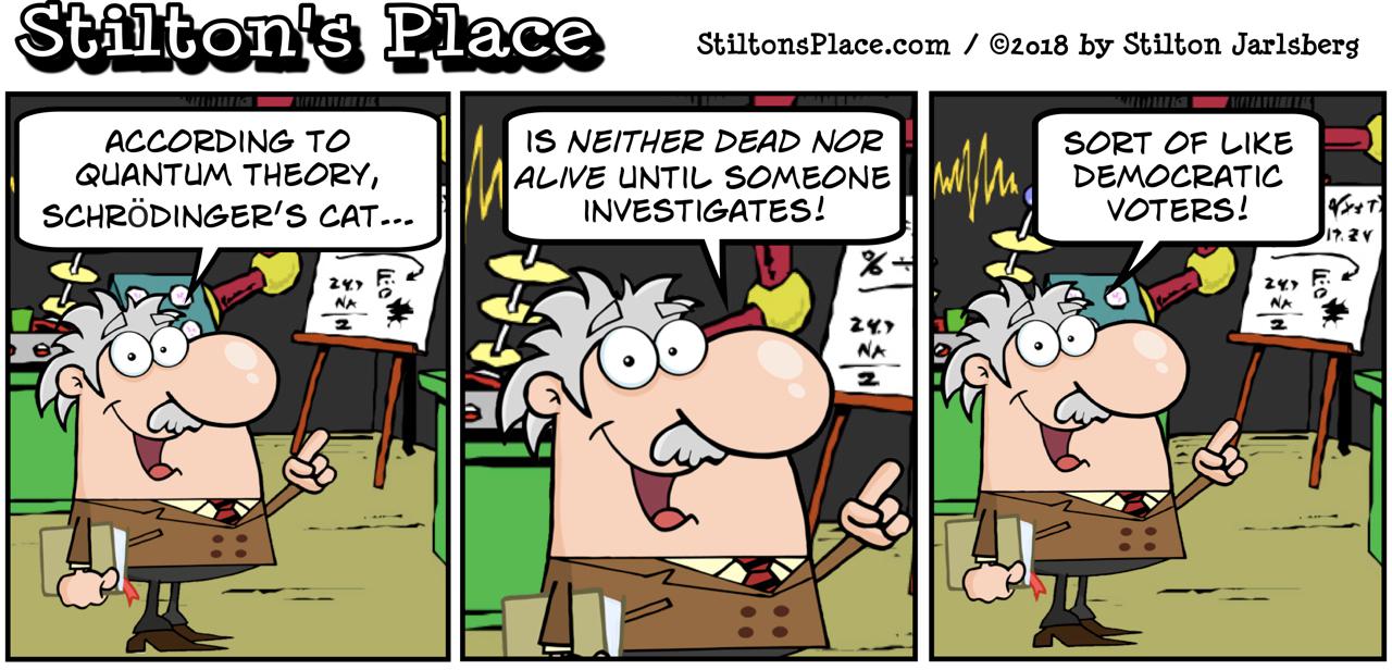 Stilton's Place: Poll Cat