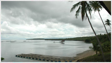 Beauty And Tourism: Nambo Beach