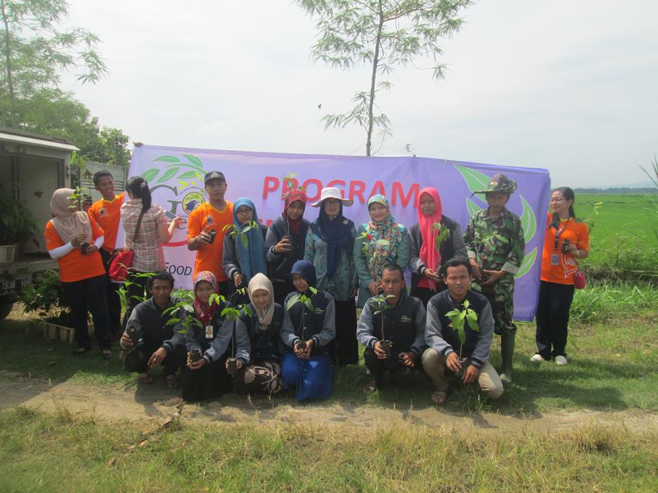 Beginilah 48+ Tanaman Bunga Vertikultur yang Wajib Diketahui ...