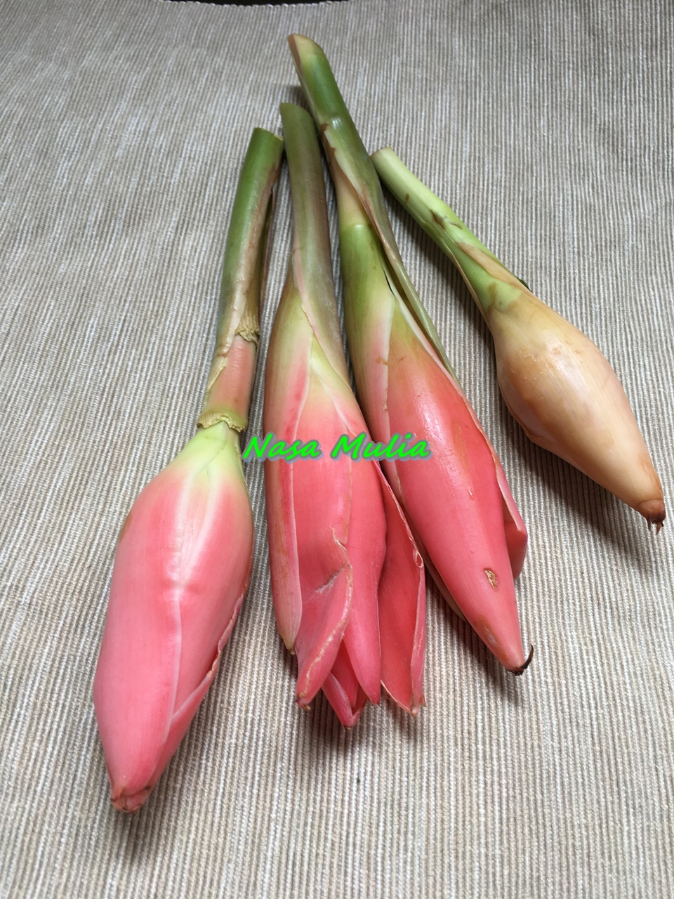 warna warni hidupku..............: Jom Kenali Pucuk-Pucuk / Herba ...