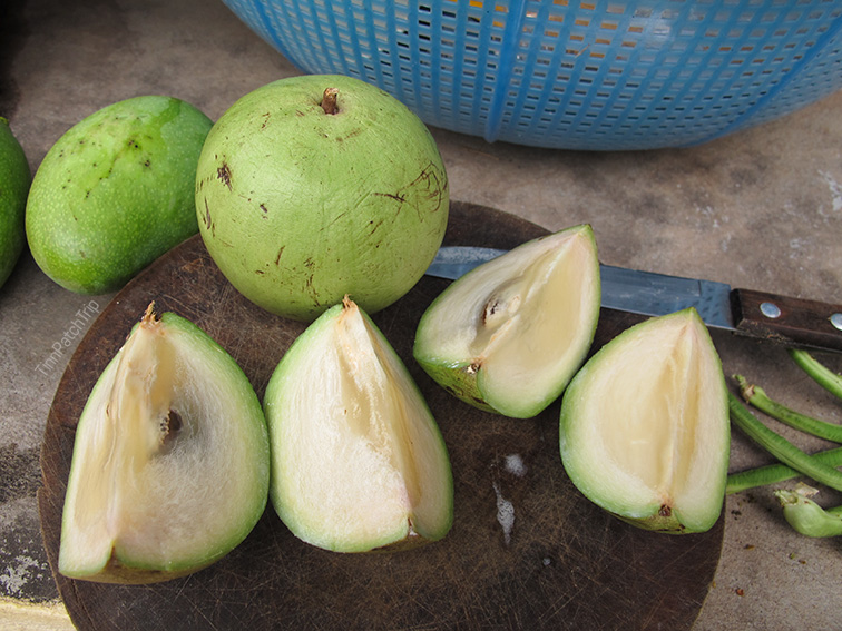 Fruits exotiques // - Tinn Patch Trip