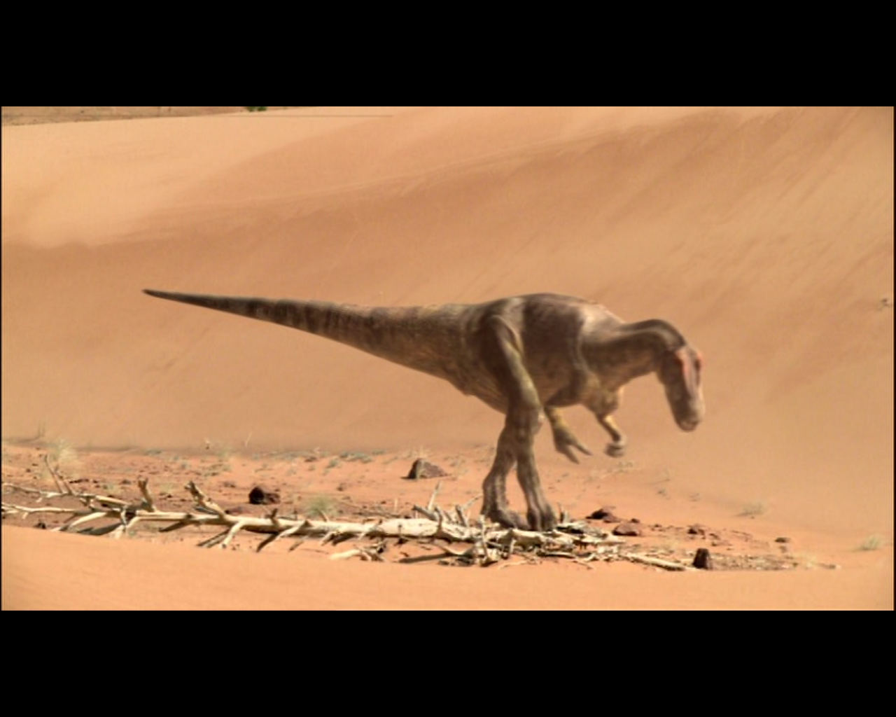 What happens when a non-accredited paleontology fan blogs: Documentary ...