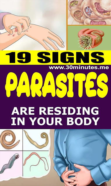 19 Signs Parasites are Residing In Your Body These Herbs Can Help ...